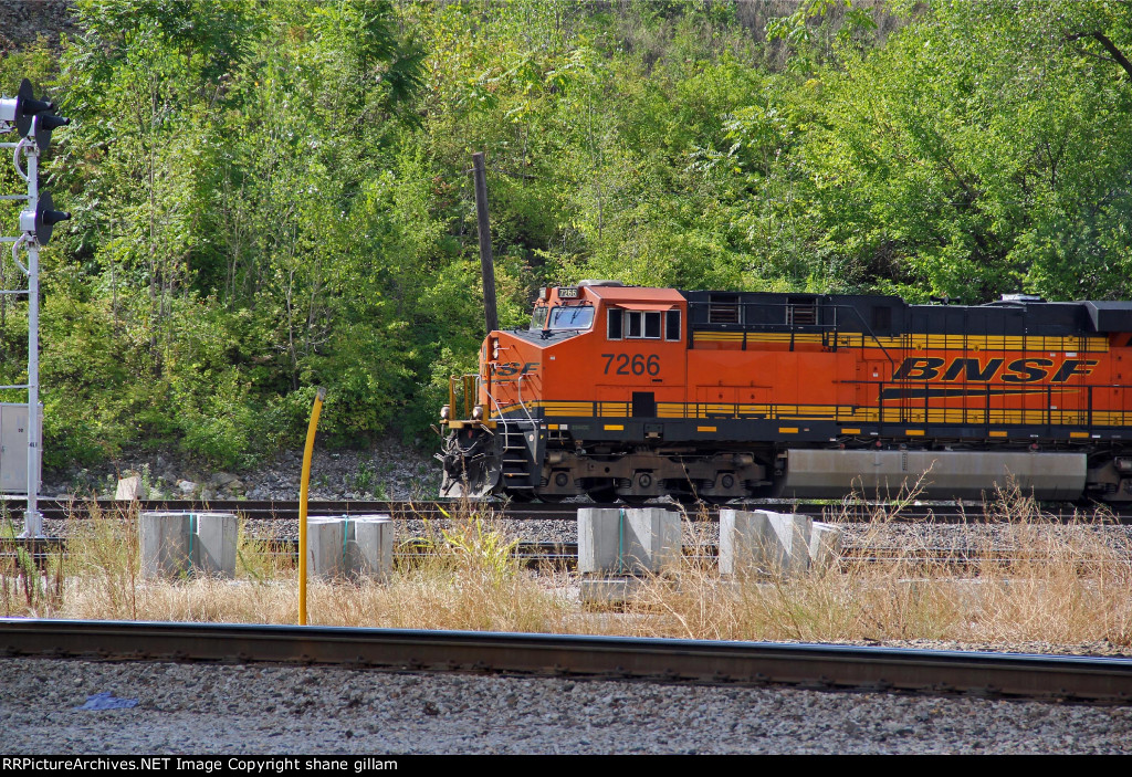 BNSF 7266 takes a grain train around the swing.
